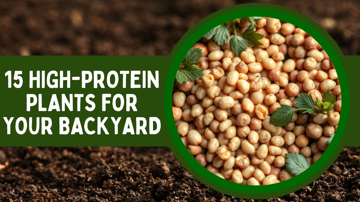 15 High-Protein Plants to Grow Year-Round in Your Small Greenhouse