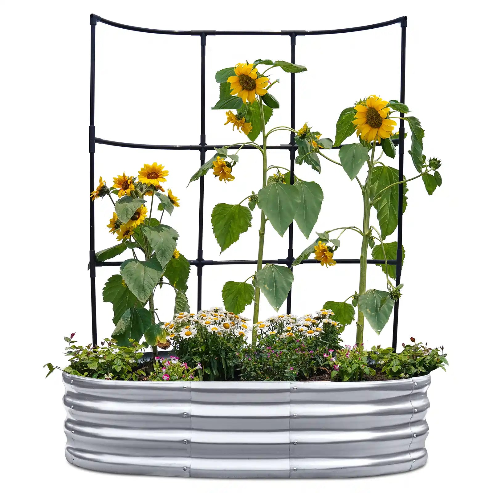 Corrugated Metal Raised Garden Bed Trellis Galvanized Steel Raised